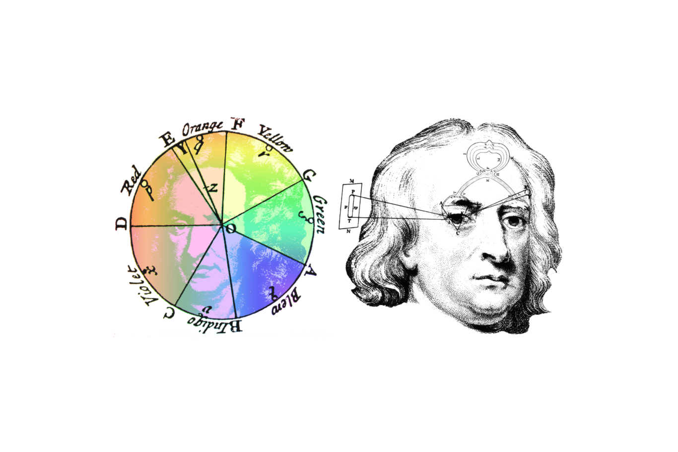 Plugged | Live Shows — Psychology of colour: The secrets of yellow